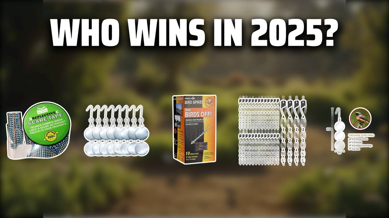 The Top 5 Best Bird Deterrent in 2025 - Must Watch Before Buying!