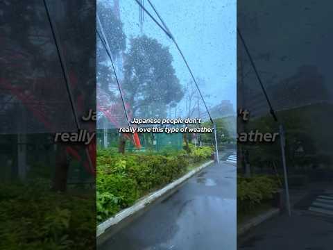 Why Japanese people hate Rain? 🌧️ #japanvlog