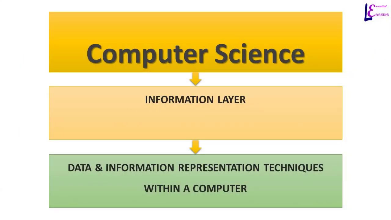 Data Representation Techniques: |Numbers| |Text| |Graphic| |Audio| & Video| |Binary format|