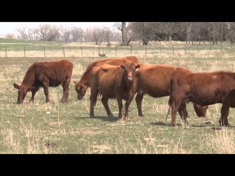 Market Journal - May 2, 2014 (full episode)
