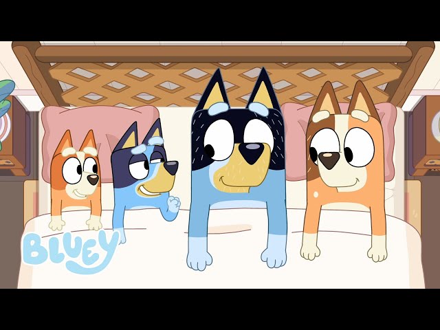What kind of dog is Bluey? All about the beloved cartoon as perceived ...