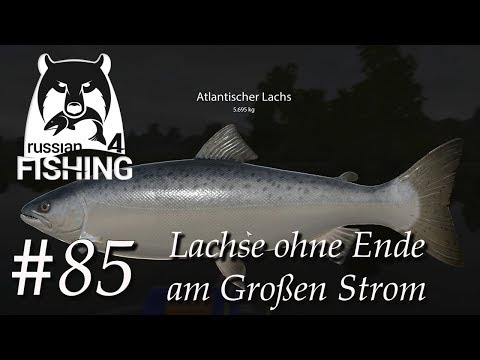 Steam Community :: Video :: Russian Fishing 4 #85 | Lachse ohne Ende am ...