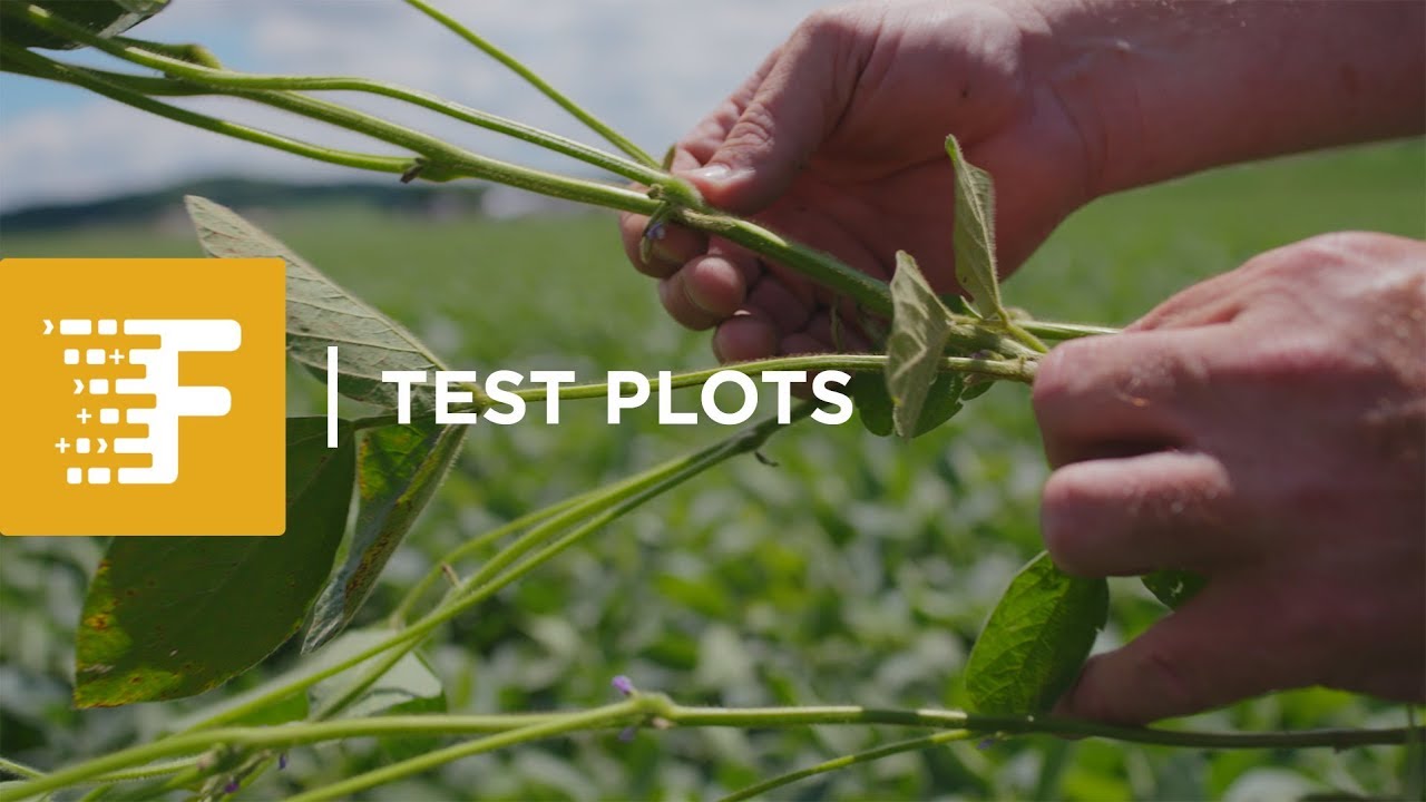 Climate FieldView™ For Growing: Test Plots