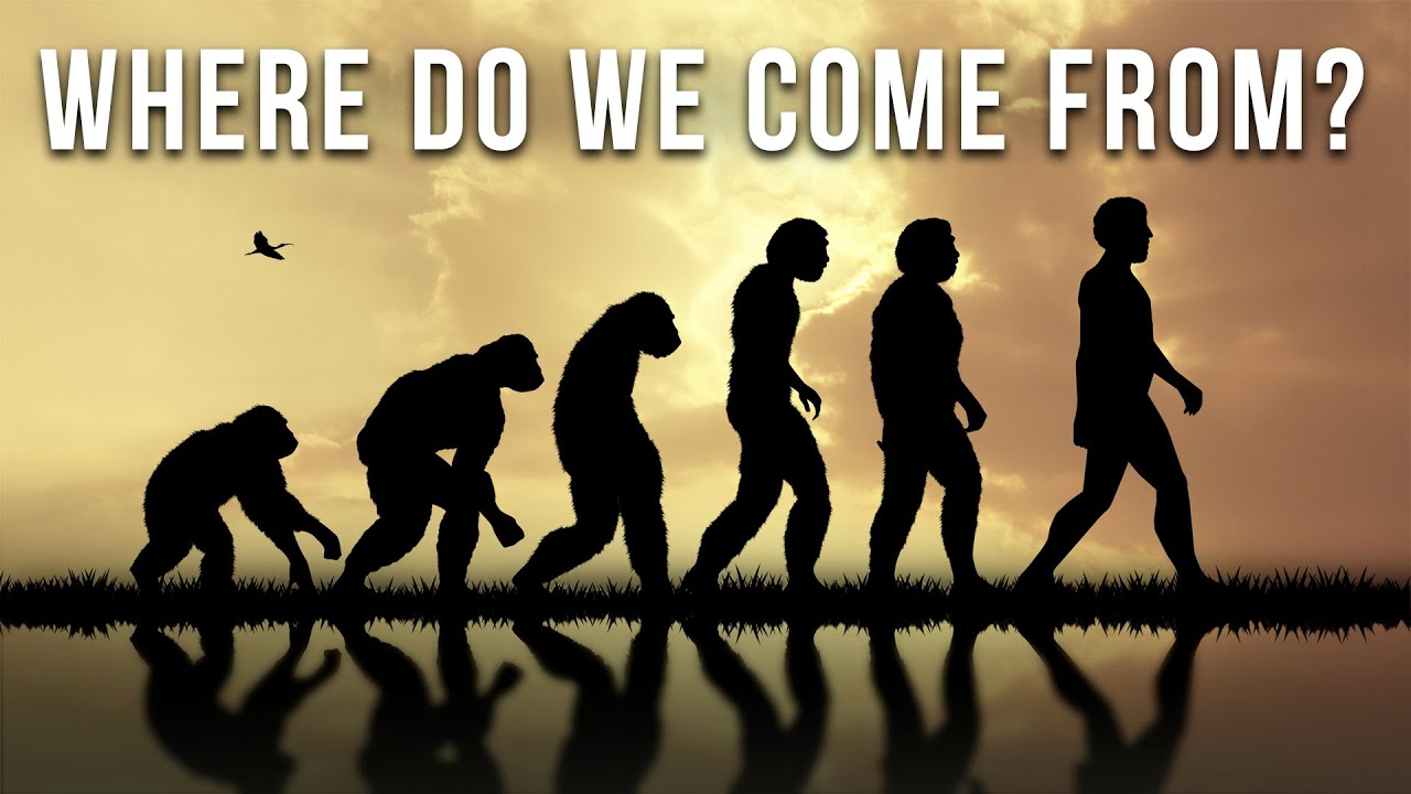 The Extraordinary Journey of Human Evolution: From Single Cells to Homo ...