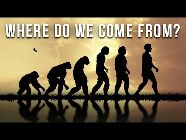 The Extraordinary Journey of Human Evolution: From Single Cells to Homo ...