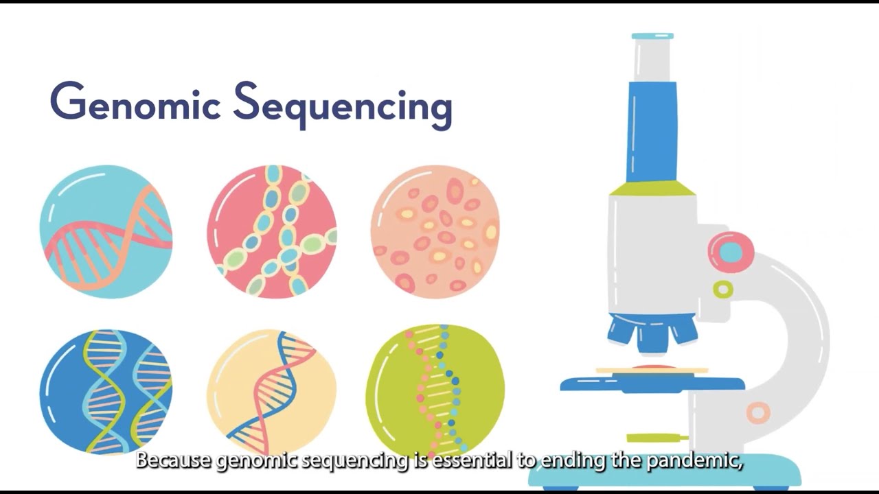Genomic Sequencing Animated Explainer