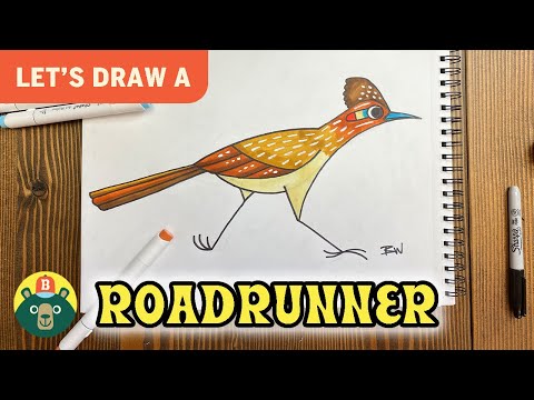 How to Draw a Roadrunner Bird Step by Step – I'm Youtuber – Follow my ...