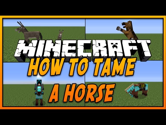 How to Tame and Ride a Horse in Minecraft: 5 Easy Steps