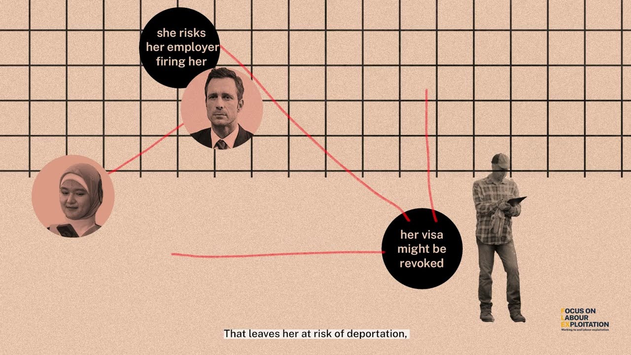 International Migrants Day 2025: FLEX’s Year in Review – FLEX