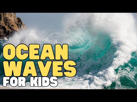 Waves – Easy Peasy All-in-One Homeschool