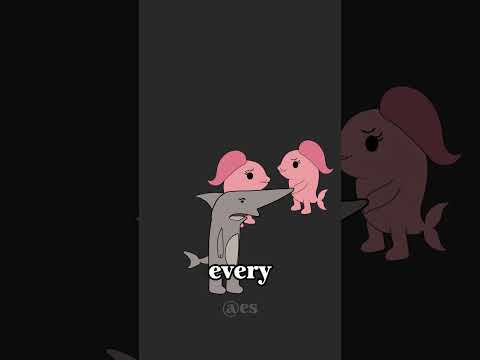 Why It Sucks TO Be A Goblin Shark