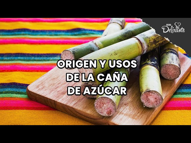 ¿El azúcar caduca? Aprende a conservarla y cómo saber si sirve