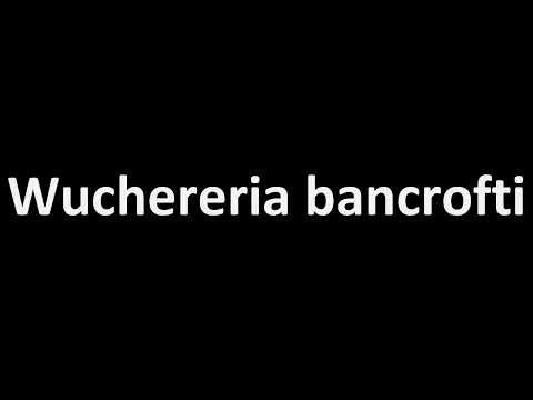 How to Pronounce Wuchereria bancrofti? (CORRECTLY)
