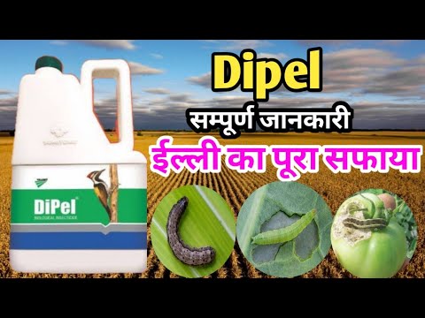 Bacillus Thuringiensis - Thuringiensis Latest Price, Manufacturers ...