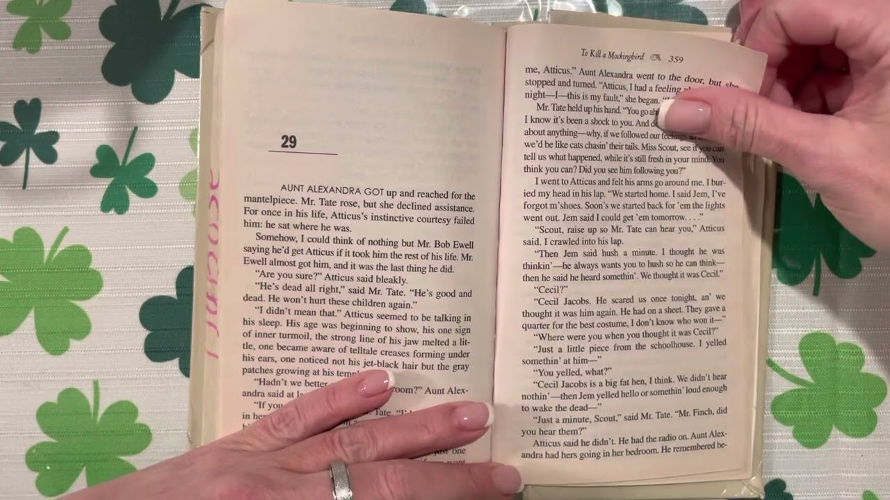 Chapter 29 of TKAM by Harper Lee (Cal's Reading)