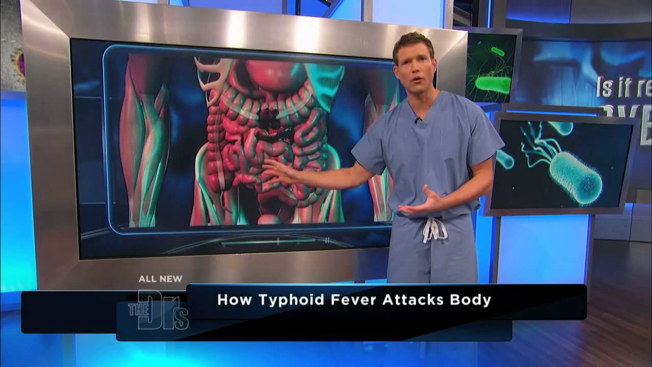 How Typhoid Fever Affects the Body -- The Doctors