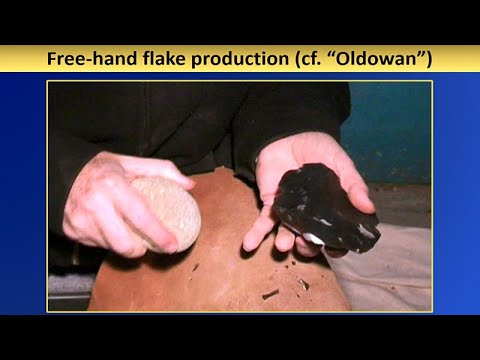 Impact of Tools & Technology on Evolution of the Mind - with Feldman, Fragaszy, Stout