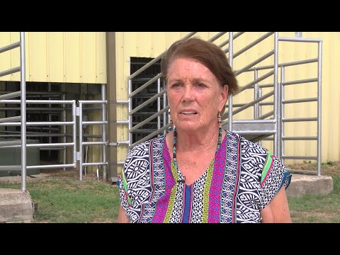 How do you pronounce 'Brahman bull'?
