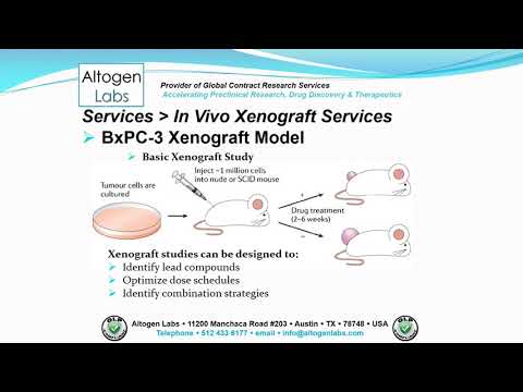 Altogen Labs BxPC-3 Xenograft Service Pancreatic Cancer