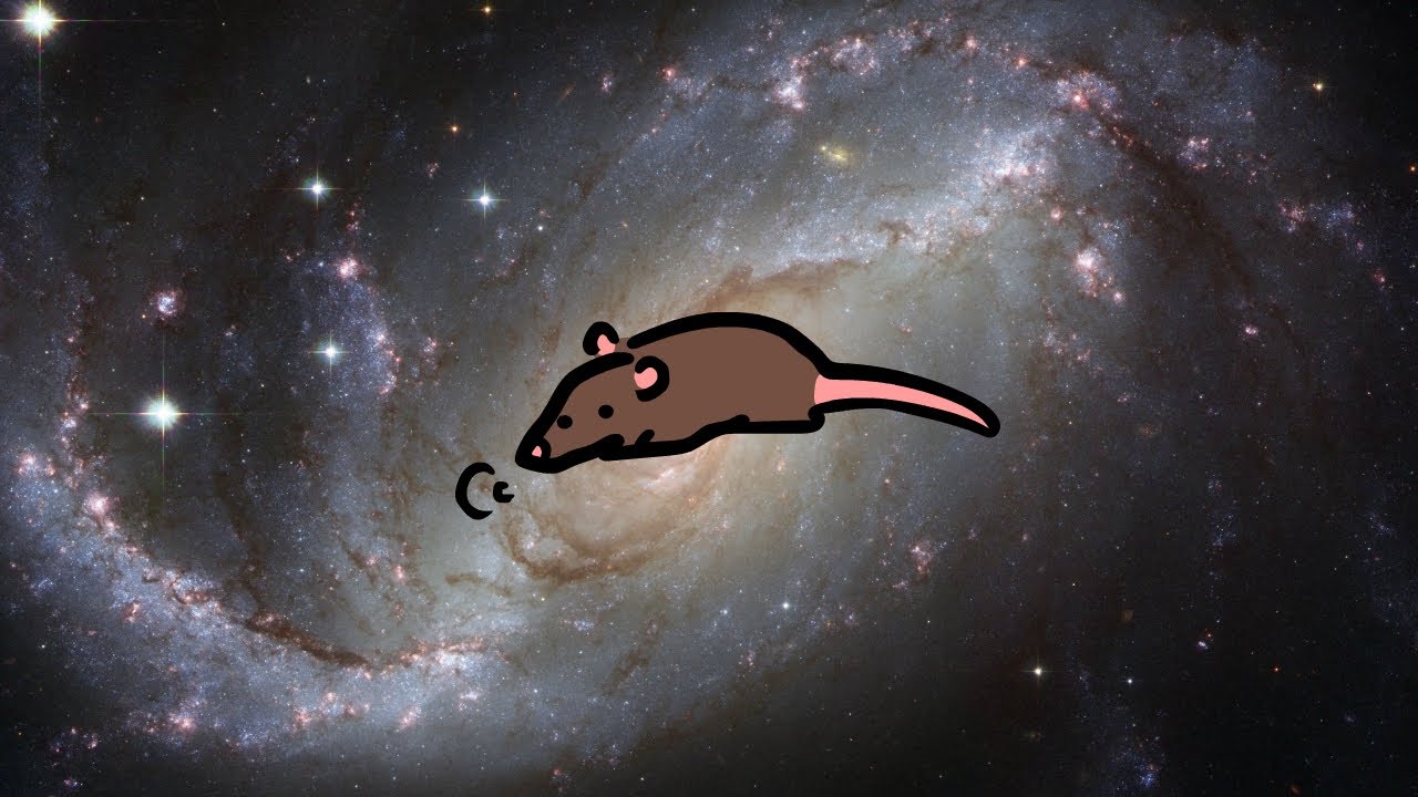 Mini Talking: RAT LEADER