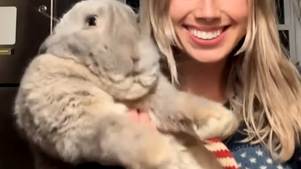Woman brings home meat bunny. He starts to act like a dog.