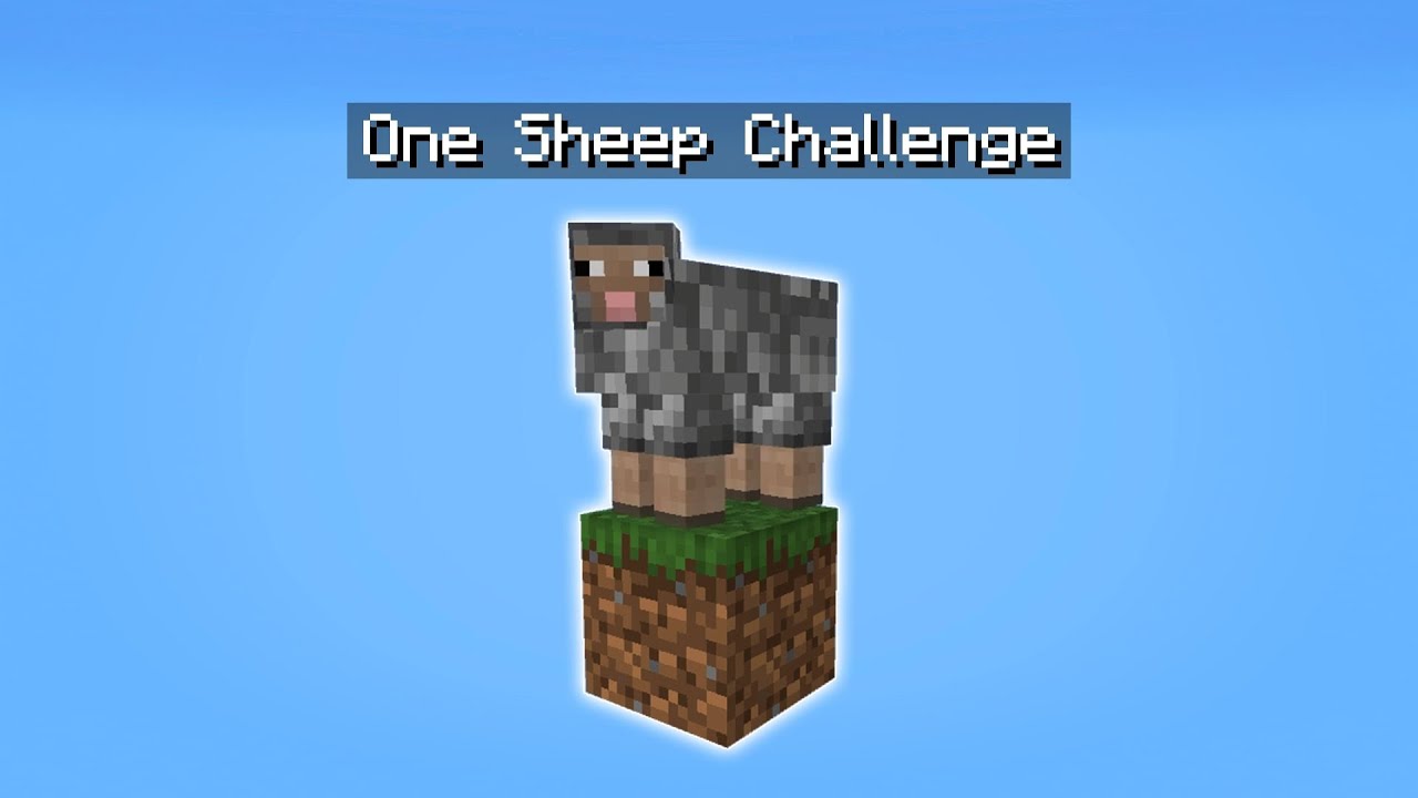 One Sheep Challenge Trailer