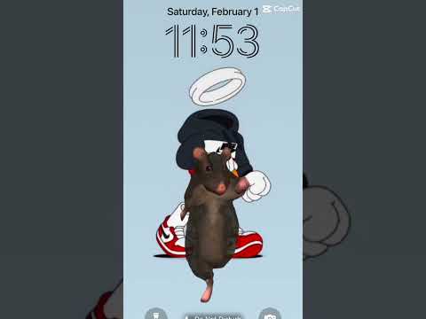 Rat dance #wallpaper #butifyoucloseyoureyes #funny #haveitoldyoulatelythatiloveyou #automobile