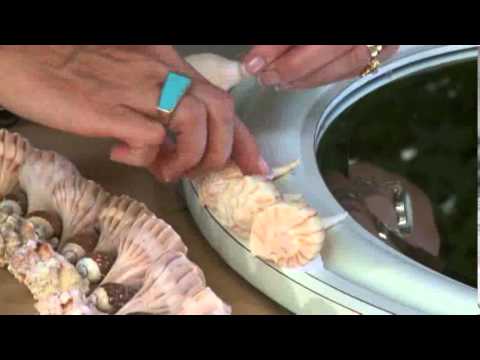 For Your Home by Vicki Payne Episode 2703 - Decorated Garden