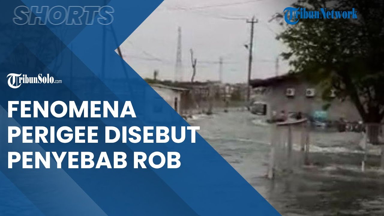 Banjir Rob Terparah Melanda Semarang Utara, Fenomena Perigee Disebut Menjadi Penyebabnya ...