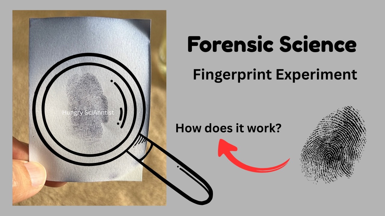 Forensic Science: Fingerprints on a Paper | Experiment | How does it work?