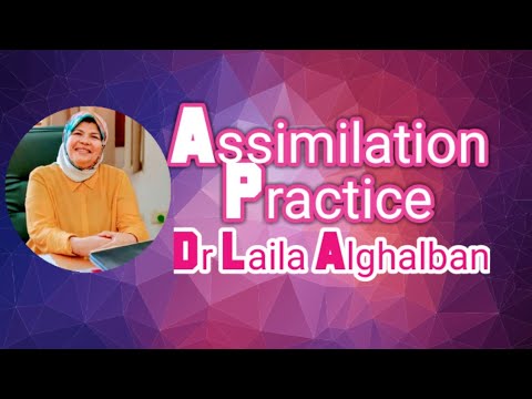 Assimilation Practice
