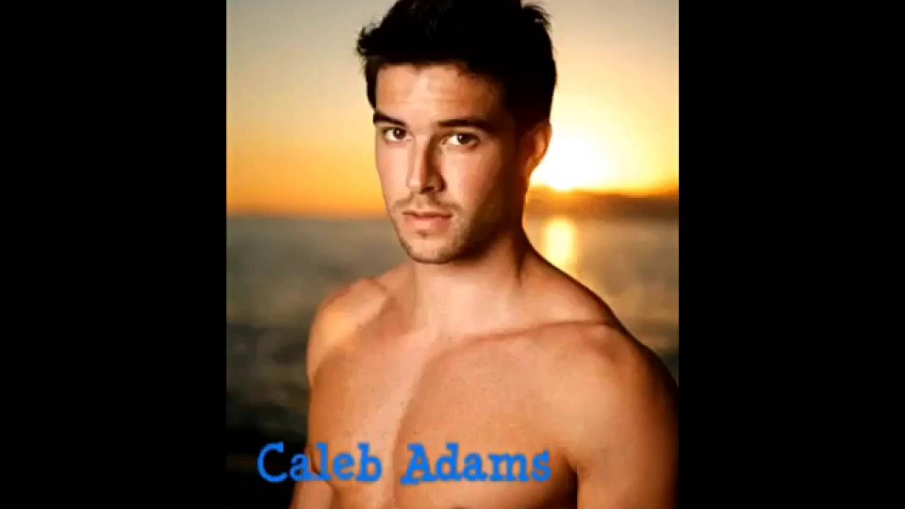 Tainted hearts ~wattpad book