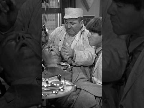 The THREE STOOGES can do anything