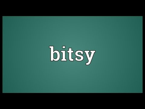 Bitsy Meaning