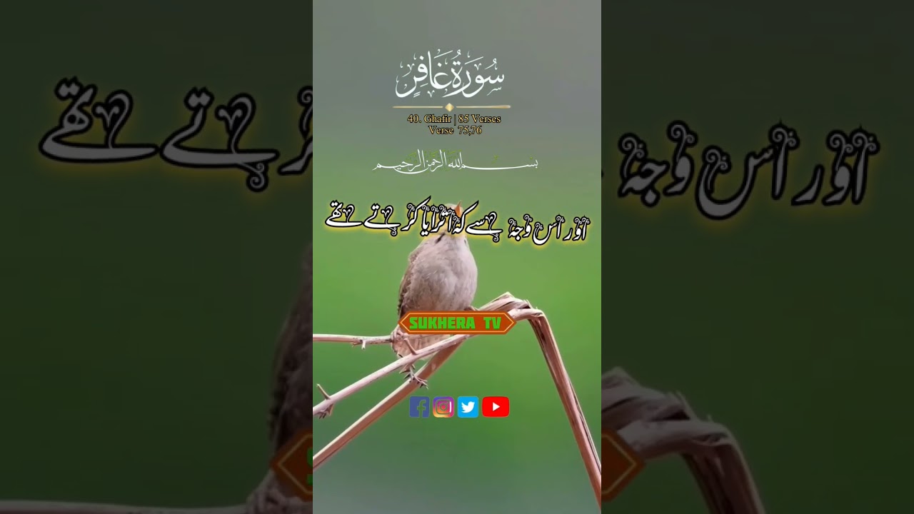 Surah Ghafir I Verse 75 76