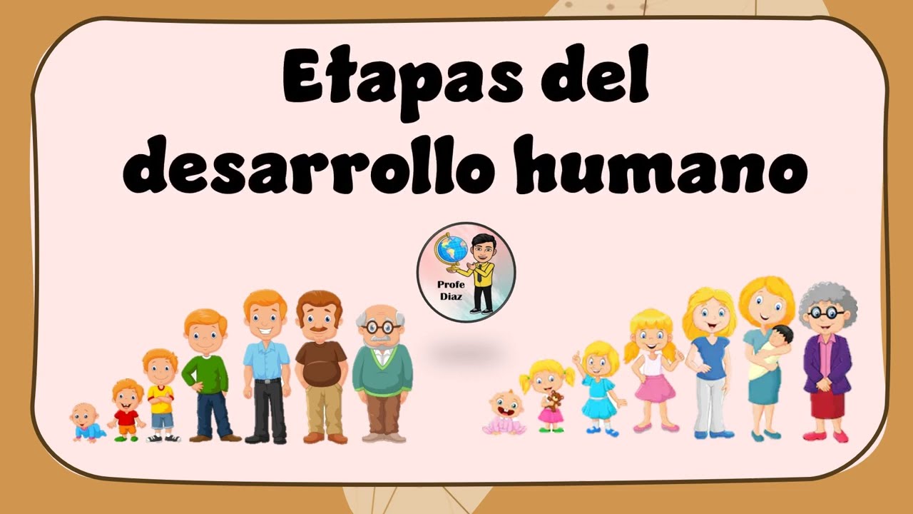 Stages of human development