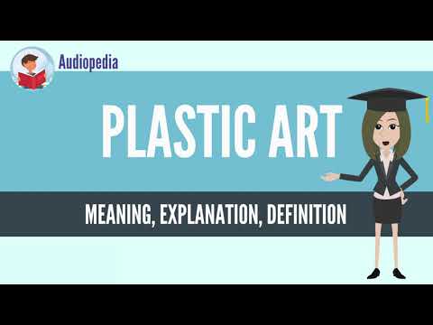 What Is PLASTIC ART? PLASTIC ART Definition & Meaning