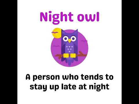 Slang: Night owl (meaning, examples)