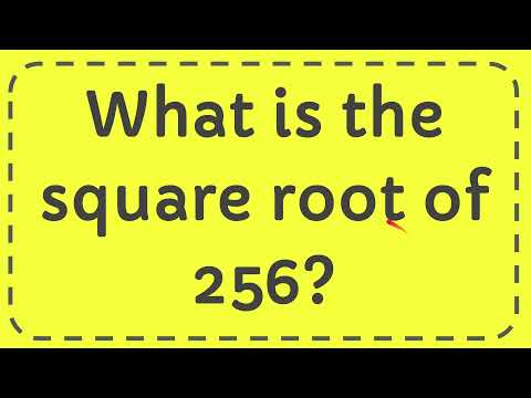 What is the square root of 256?