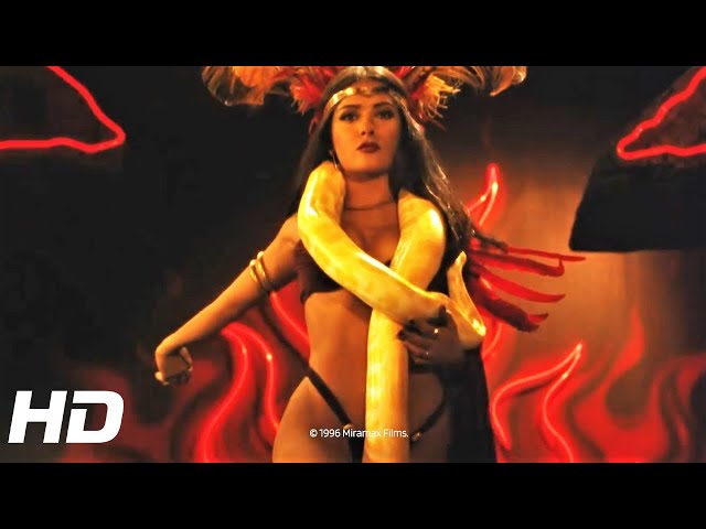 Studente (23) die haar date neerstak dacht dat ze Salma Hayek in 'From Dusk Till Dawn' was ...