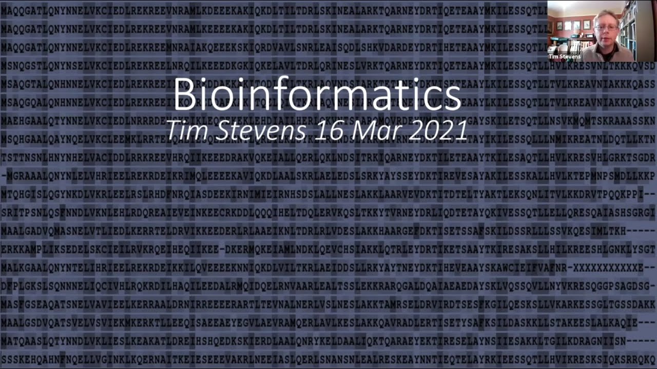 Bioinformatics - Tim Stevens