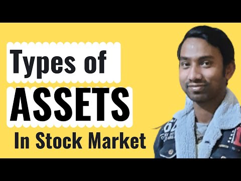Asset & Types of Assets -Explained in Hindi। #asset #assets