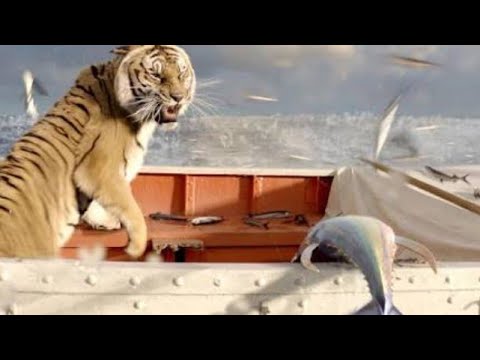 Life of pi flying fish scene tamil dubbed movie bite
