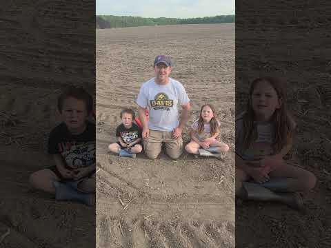 Sow your sunflower seeds for celiac disease.