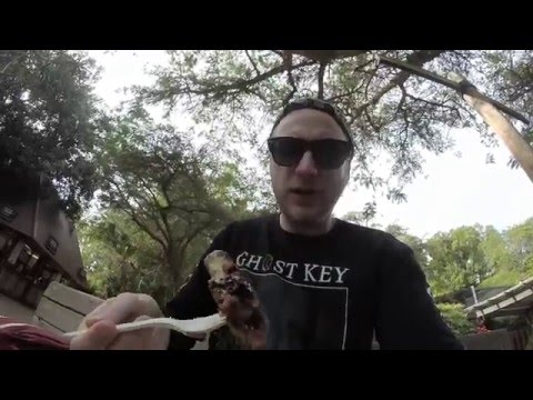 San Diego Zoo Safari Park - Zebra Waffle Review