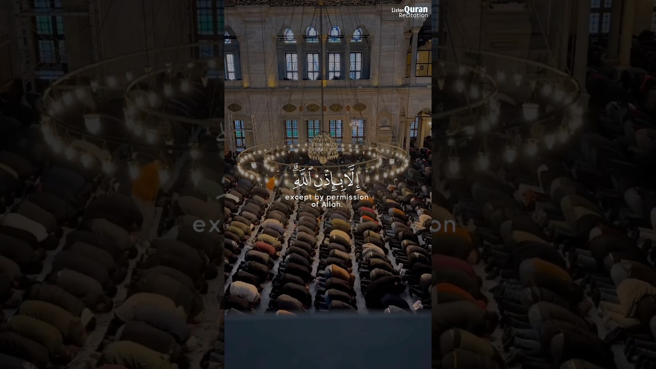 Beautiful Quran Recitation quran tilawat