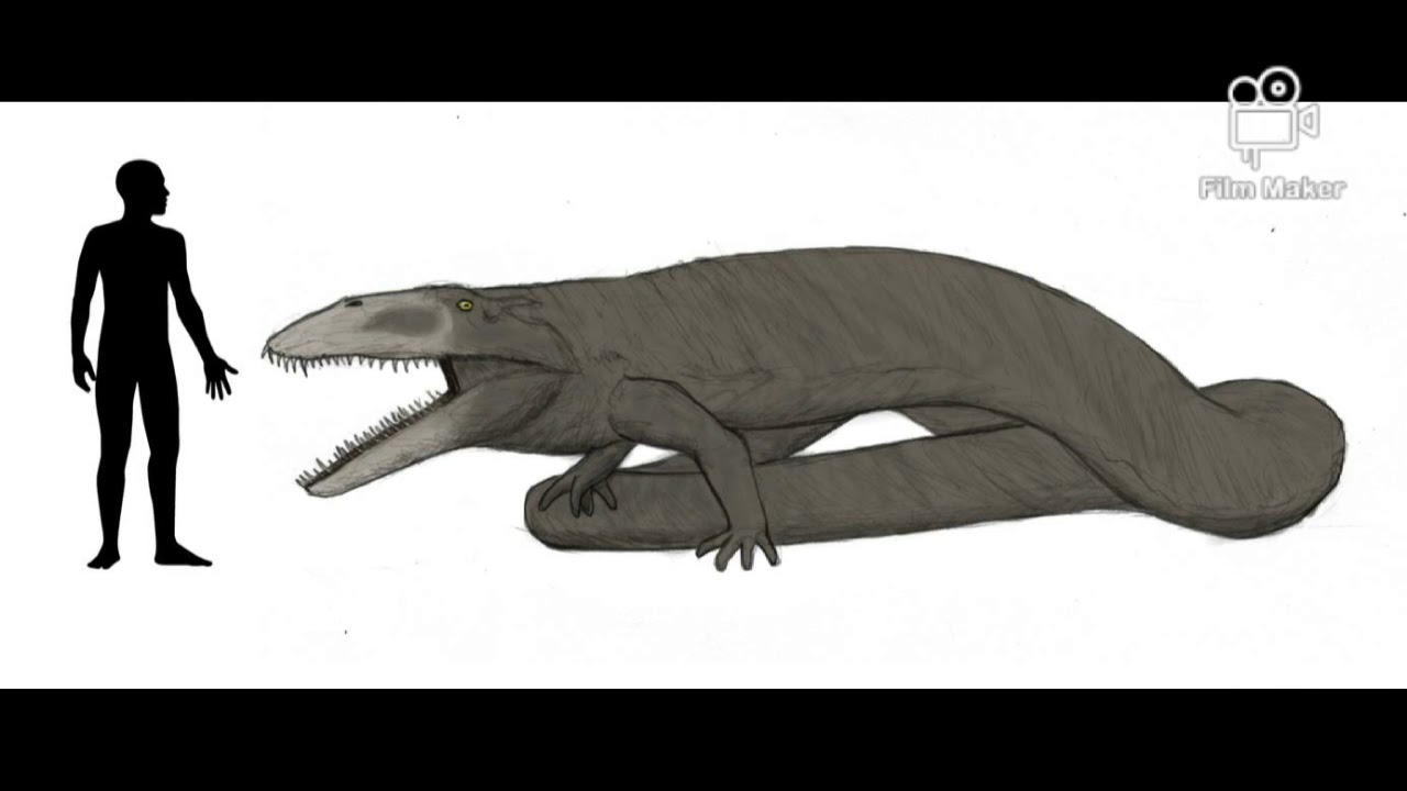 skull crawler roars ( 2005 peter Jackson style)