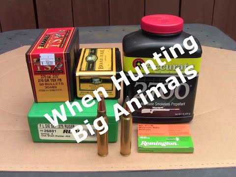 .375 Ruger Alaskan Hunting Loads