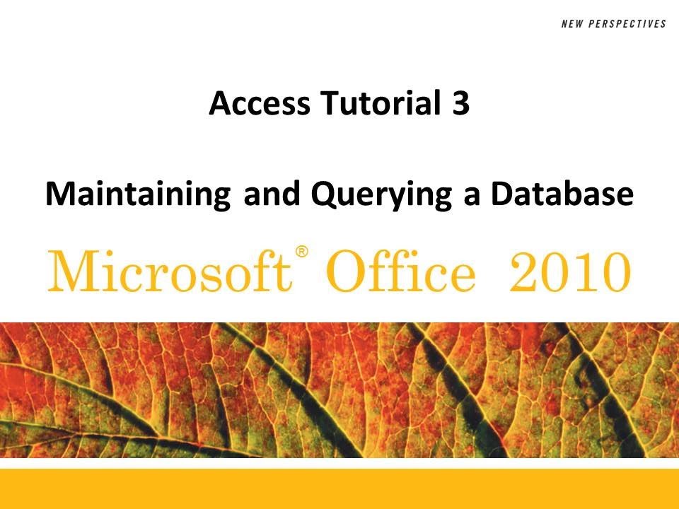 CMIS 101 - Access Project 2 - Tutorial 3 - Case Problem 1 using SAM