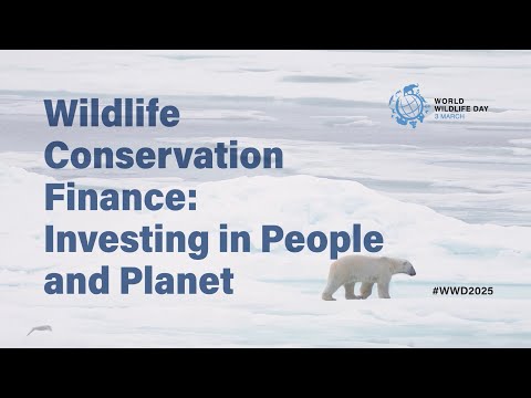 Wildlife Conservation Finance: Investing in People and Planet